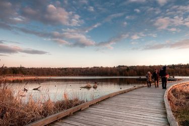 Visitor's Guide to Burnaby Lake Park in Vancouver