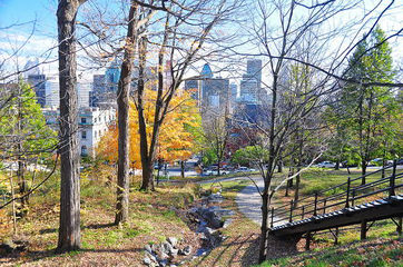 Mount Royal Lookout Walk
