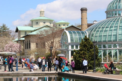 Visitor's Guide to the Brooklyn Botanic Garden in NYC