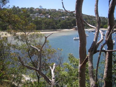 Guide and Map for the Manly Scenic Walkway