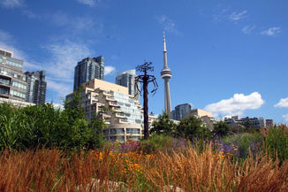 Visitor's Guide to the Toronto Music Garden in Toronto