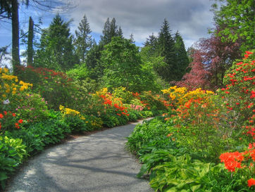 Stanley Park Guide: Vancouver's Top Attraction (by Bus)