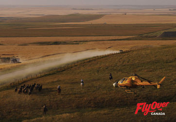 FlyOver in Vancouver: A Guide to the Ultimate Flying Ride