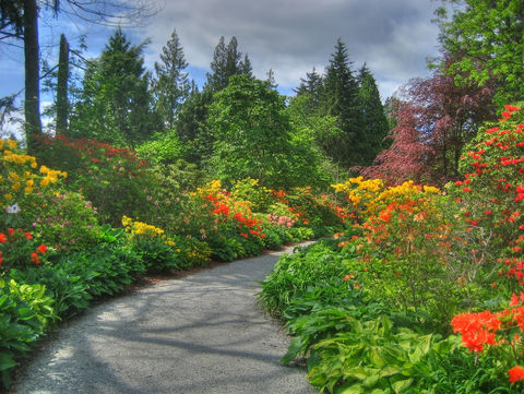 Stanley Park Guide: Vancouver's Top Attraction (by Bus)